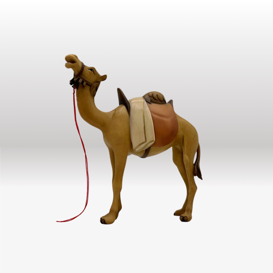 Jetzt kaufen Camel - Light nativity I Akantus