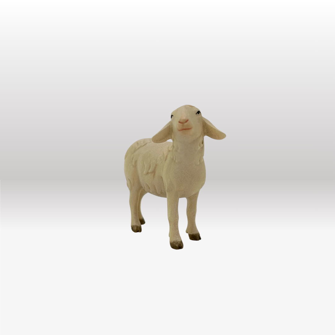 Sheep looking right - Light nativity I Akantus