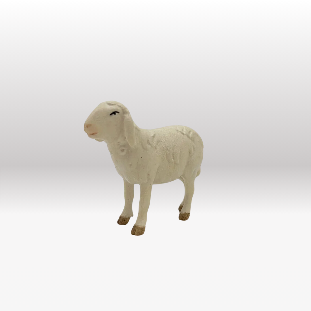 Sheep looking forward - Light nativity I Akantus