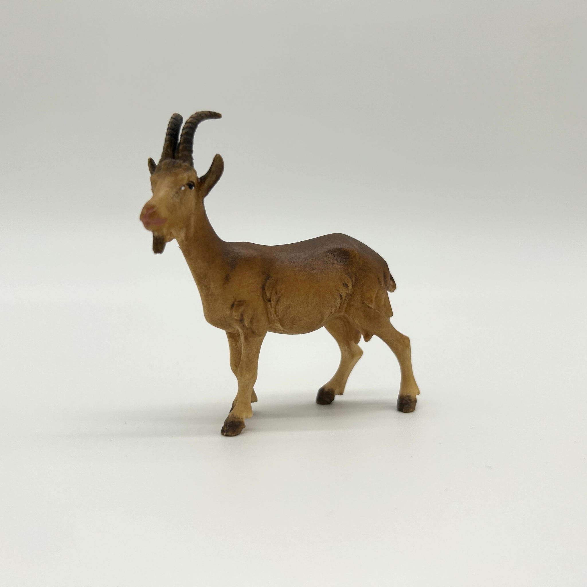 Goat - Light nativity I Akantus