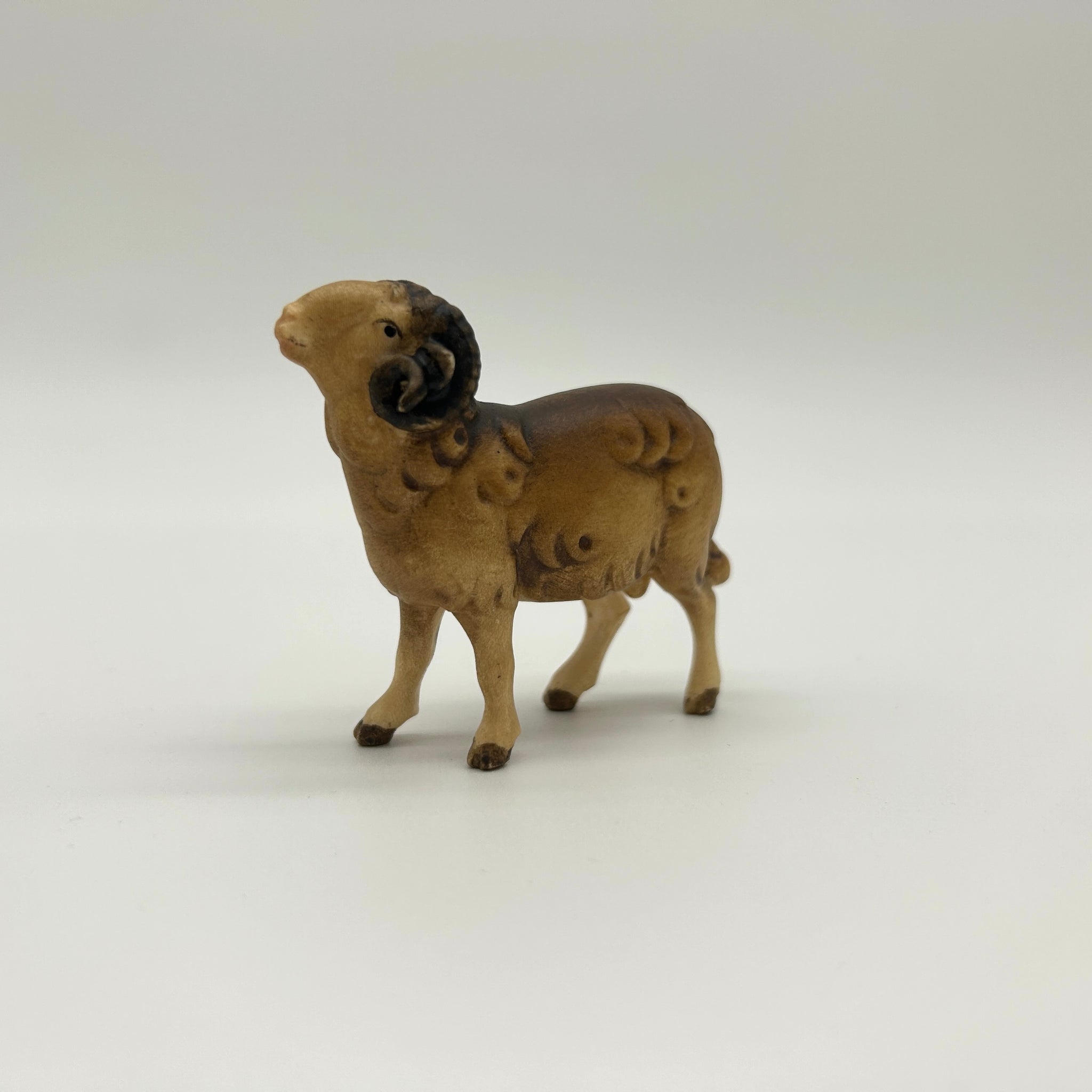 Aries brown - Light nativity I Akantus