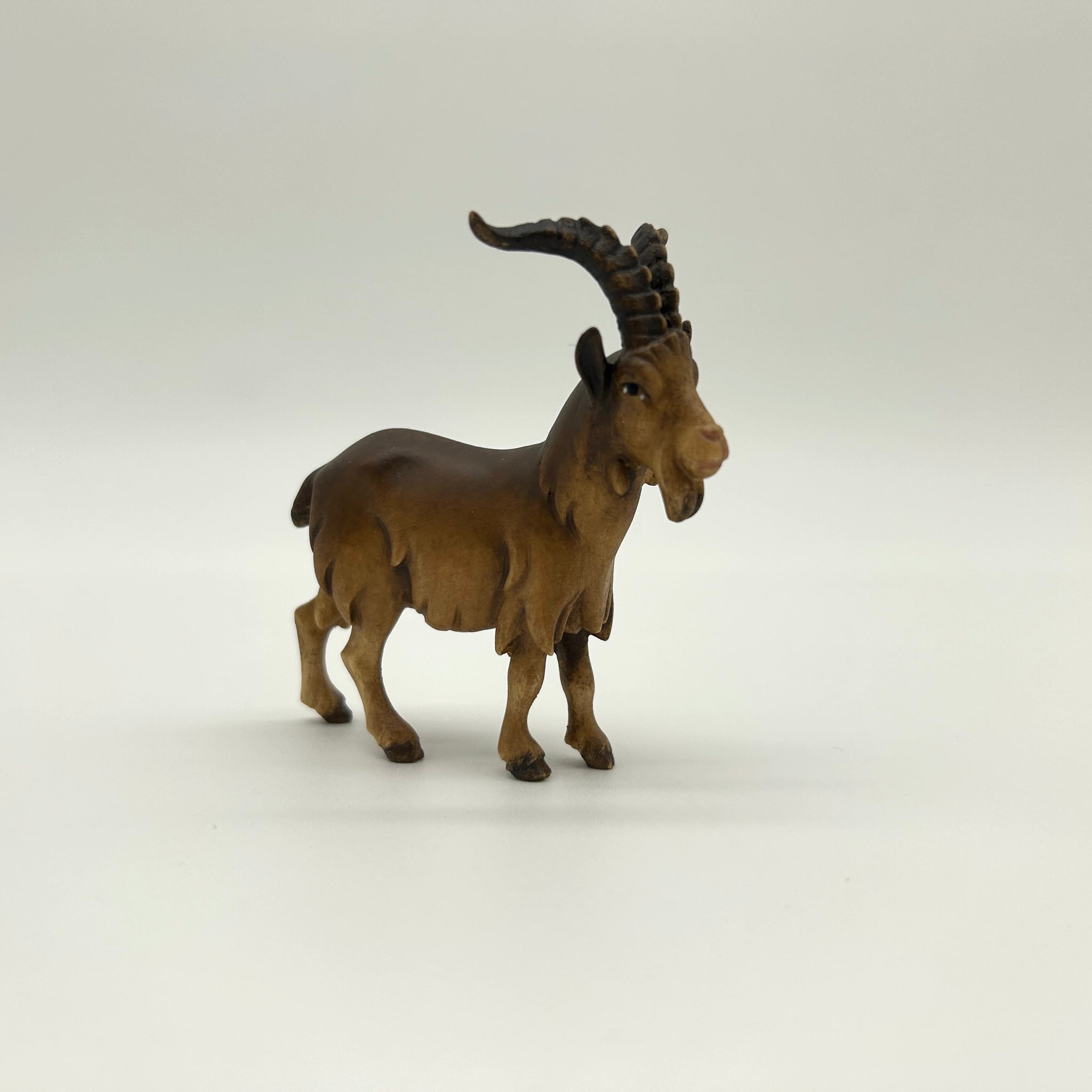 Goat - Light nativity I Akantus